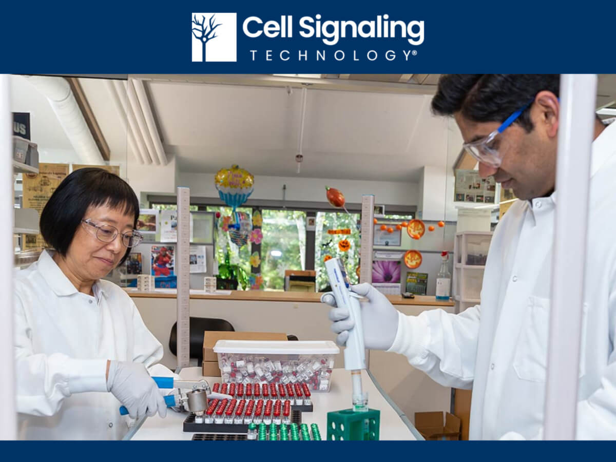 Cell Signaling Technology - Homepage